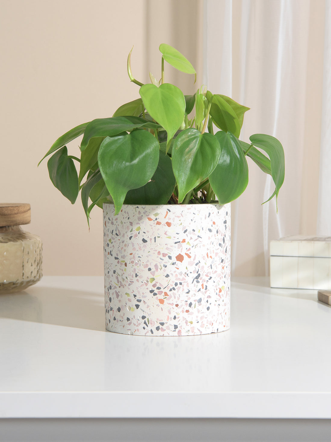 Terrazzo Planter Collection – BHFhome